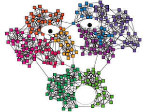 How is a neural schema meaning? - Surimposium